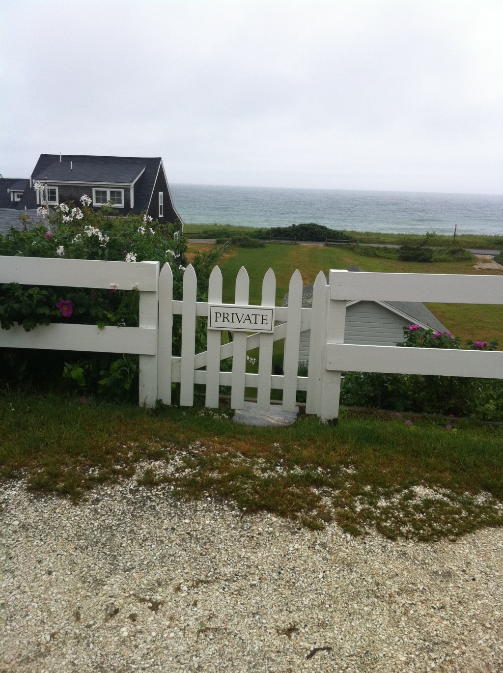Sconset Bluff Walk | Living Well 7